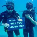 Underwater Marriage Proposal - Key Points
