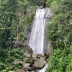 USDA El Yunque National Forest and Luquillo Beach Tour - A Close Look at the Itinerary