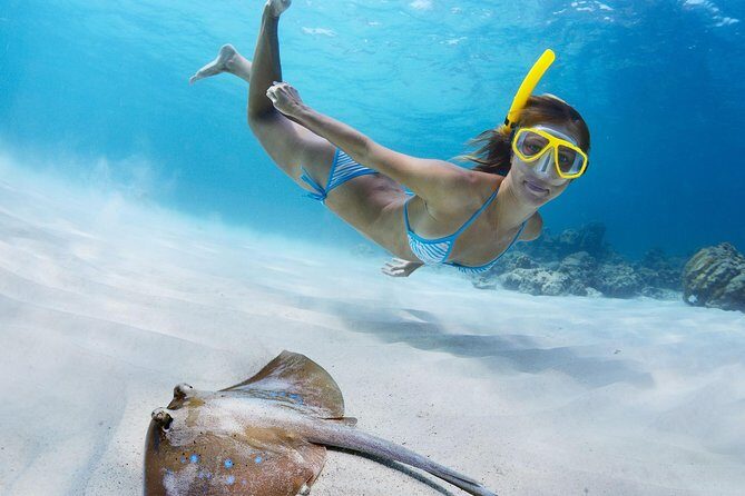 USVI Private Boat Charters - New, Fast Powerboats for Half and Full Day - The Sum Up