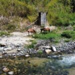 Utuado Canyon River and Waterfall Private Tour in Puerto Rico - Transport and Group Size