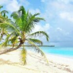 Uvero Alto Hotels - Private Round Trip from Punta Cana Airport - The Booking and Cancellation Policy