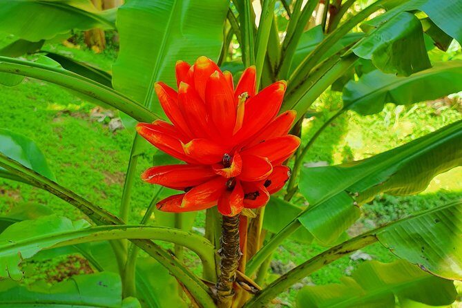 V.I.P Green escape 2-Zoo de Martinique - Who Should Consider This Experience?