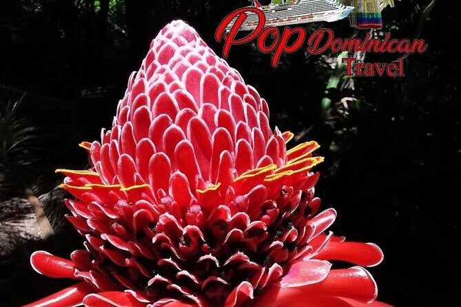 Valle Taino Tropical Park and plantation in Puerto Plata - Deep Dive into the Tour Itinerary