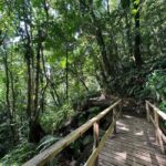 Vermont Nature Trail and Bird Watching Tour - A Detailed Look at the Itinerary and Experience