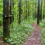 Vermont Nature Trail Tour - The Sum Up: Is the Vermont Nature Trail Tour Worth It?