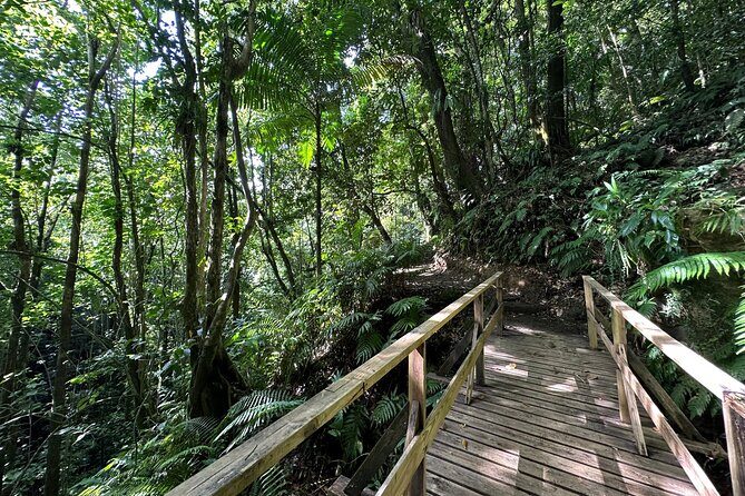 Vermont Nature Trail with Topdawg Taxi and Tours - Who Will Appreciate This Tour?