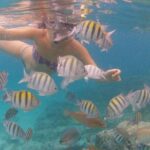 Vi Top Taxi &Tours USVI-Coki Beach Snorkeling Tour - The Sum Up