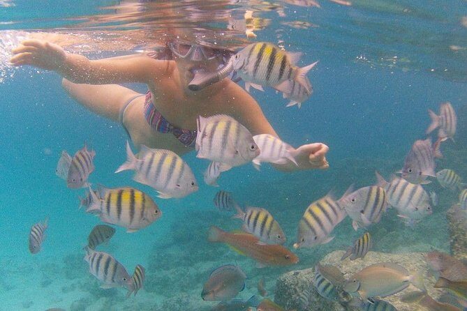 Vi Top Taxi &Tours USVI-Coki Beach Snorkeling Tour - The Sum Up