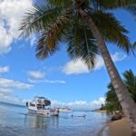 Vieques All-Inclusive: Swim with Turtles & Enjoy Pristine Beaches - Why This Tour Stands Out
