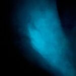 Vieques Bio Bay Tour and Beach Day Trip from San Juan by Ferry - Transportation & Logistics