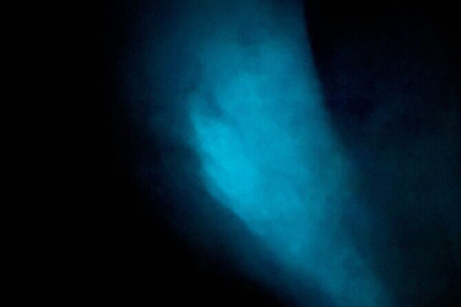 Vieques Bio Bay Tour and Beach Day Trip from San Juan by Ferry - Transportation & Logistics