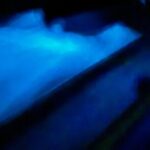 Vieques island Biobay Kayaking Tour - The Itinerary