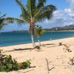 Vieques Island Rich History Tour - The Itinerary in Detail