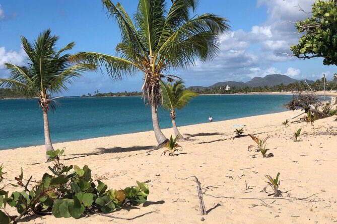 Vieques Island Rich History Tour - The Itinerary in Detail