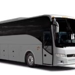 VIP and Luxury Transfert from Punta CanaAirport - What the Reviews Say