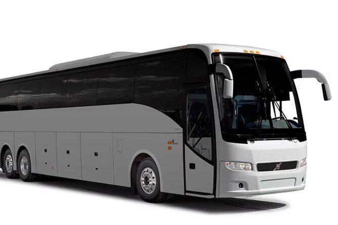 VIP and Luxury Transfert from Punta CanaAirport - What the Reviews Say