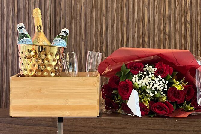 VIP Executive Airport Transfer  Luxury Ride in Punta Cana - Vehicle and Comfort