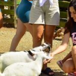 Vip La Hacienda Park Tour - The Itinerary Breakdown