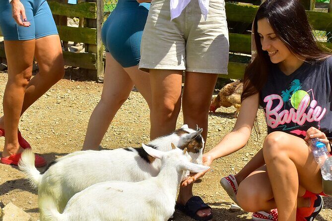 Vip La Hacienda Park Tour - The Itinerary Breakdown