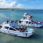 VIP Private Booze Cruise with Live Dj and BBQ in Punta Cana - Authentic Experiences and Traveler Insights