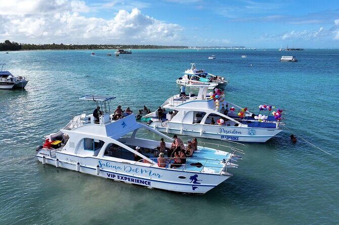 VIP Private Booze Cruise with Live Dj and BBQ in Punta Cana - Authentic Experiences and Traveler Insights