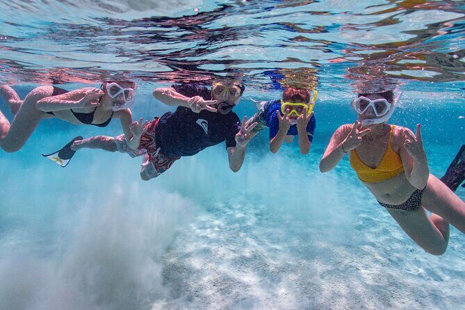 VIP Private Island & Snorkeling Tour  South Bonaire - What Past Travelers Say