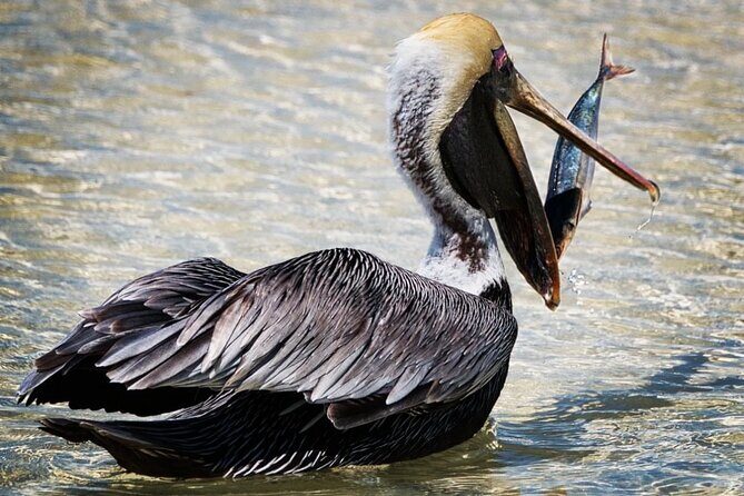 VIP Private North Island Tour - What Makes This Tour Stand Out?