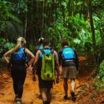 VIP Small Group El Yunque Rainforest Adventure - Final Thoughts: Who Is This Tour Perfect For?