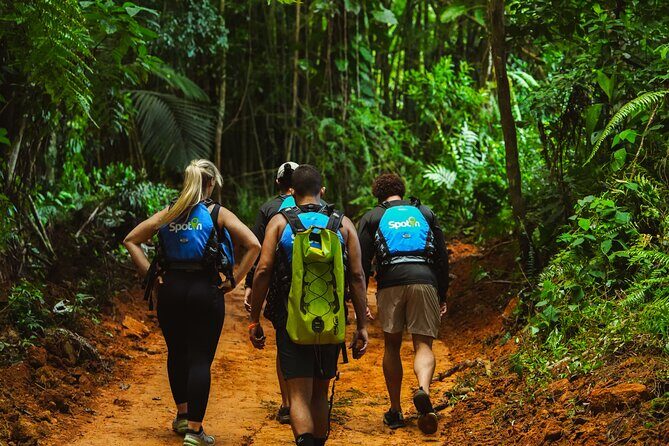 VIP Small Group El Yunque Rainforest Adventure - Final Thoughts: Who Is This Tour Perfect For?