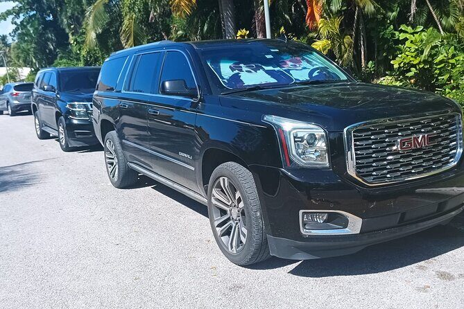 VIP Suburban Transfer from Punta Cana Airport to Bavaro Hotels - Arrival at Punta Cana Airport