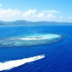 VIP tour to Paradise Island & The Mangroves - The Sum Up