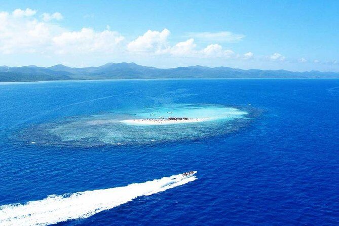 VIP tour to Paradise Island & The Mangroves - The Sum Up