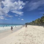 VIP tour to Saona Island by speedboat with a visit to paradise beaches - The Itinerary: What Makes This Tour Stand Out