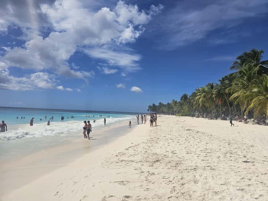 VIP tour to Saona Island by speedboat with a visit to paradise beaches - The Itinerary: What Makes This Tour Stand Out