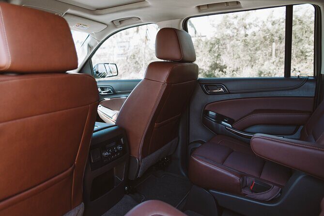 VIP Transfer Punta Cana Airport to Punta Cana & Bavaro Hotels (Not Uvero Alto) - Why Choose This Transfer?