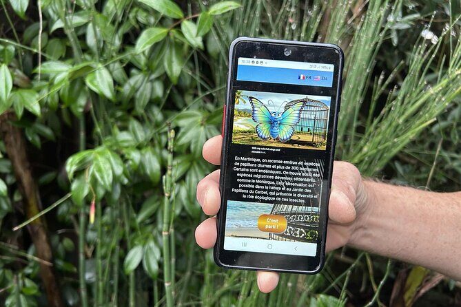 Visit Pointe-à-Pitre with a fun and fun track game! - The Itinerary in Detail