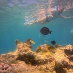 Visit Secret beaches and enjoy private guided Snorkel tour - Final Thoughts