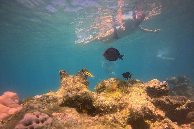 Visit Secret beaches and enjoy private guided Snorkel tour - Final Thoughts