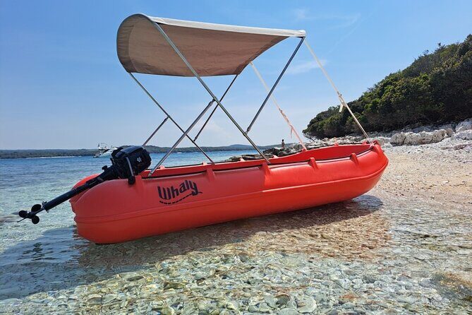 Visit the Cousteau Reserve By Boat Without a License - Who Will Love This Tour?