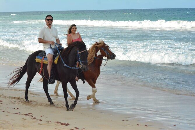 Want to Learn to Gallop at Bavaro Punta Cana Beach! - The Itinerary — What to Expect