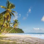 Waterfall and Historical Fort Adventure with Lunch - Final Thoughts