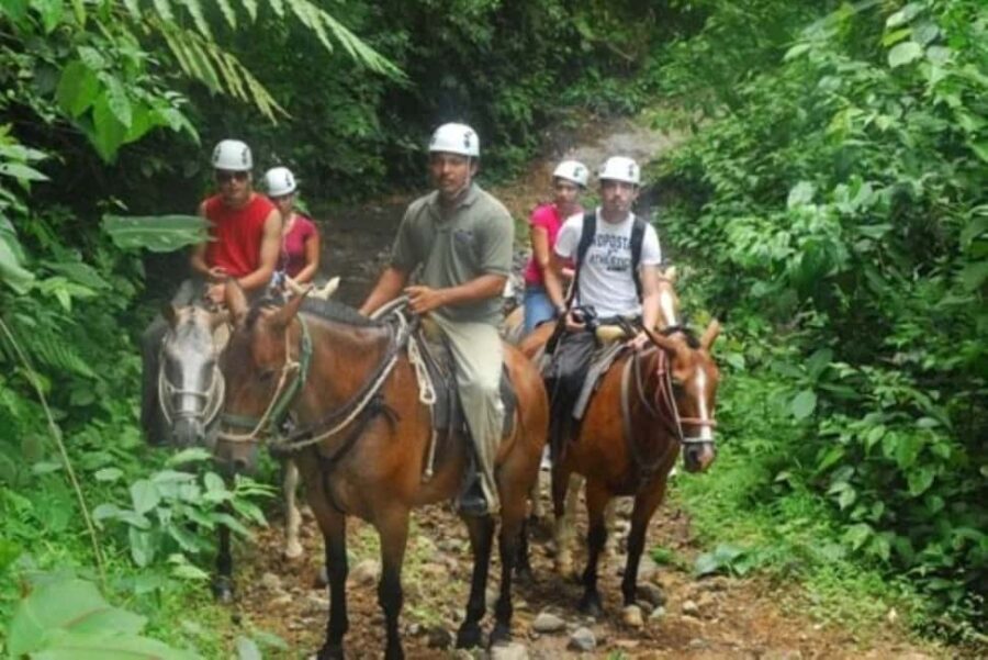 Waterfall El Limón and Cayo Levantado Island from Bayahibe - The Itinerary Breakdown