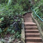 Welchman Hall Gully, Huntes Garden and Peg Farm Family Day - What Makes This Tour Stand Out