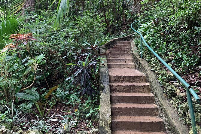 Welchman Hall Gully, Huntes Garden and Peg Farm Family Day - What Makes This Tour Stand Out