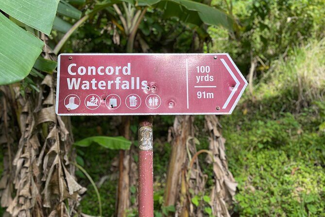 West Coast: Rum Distillery, Concord waterfall, Nutmeg processing - The Sum Up