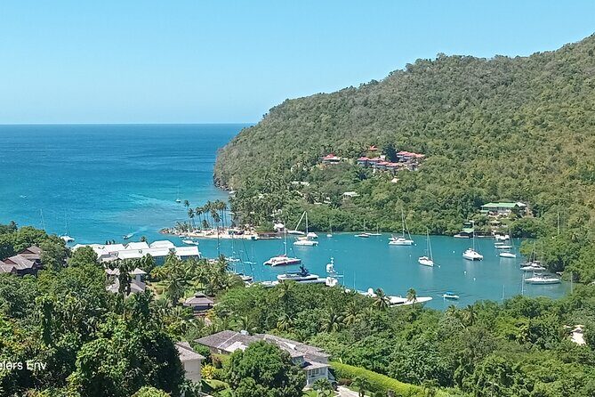 West Coast Tours - What Guests Say (Based on Reviews & Descriptions)