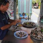 West Side Experience Puerto Rico Day Tour - The Itinerary: Exploring Puerto Rico’s Hidden Gems