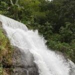 Western Island Full Day Tour - Analyzing the Value