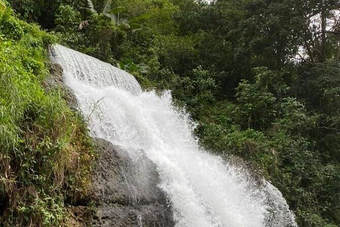 Western Island Full Day Tour - Analyzing the Value
