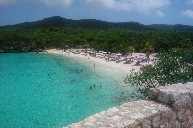 Western snorkel & swim Trip - Why This Tour Offers Great Value